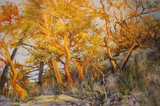 Gallery | Sharron Campbell | of Stone Cottage Studio